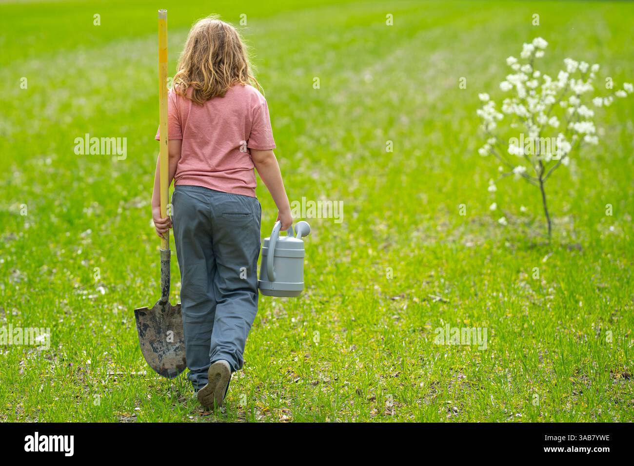 Child planting tree outdoors. Spring activity of plant trees. Kid work ...