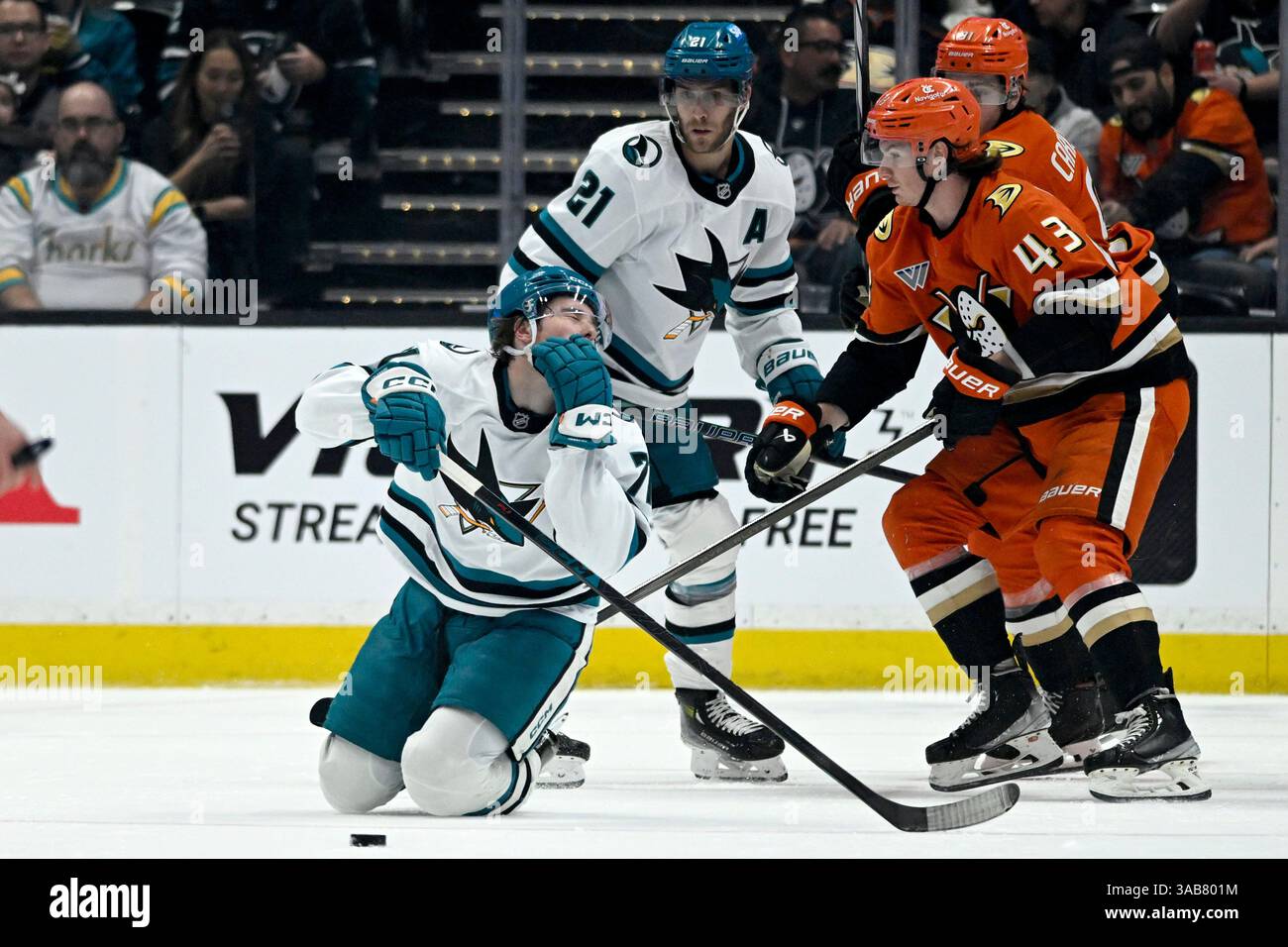 San Jose Sharks center Macklin Celebrini, left, gets a stick to the ...