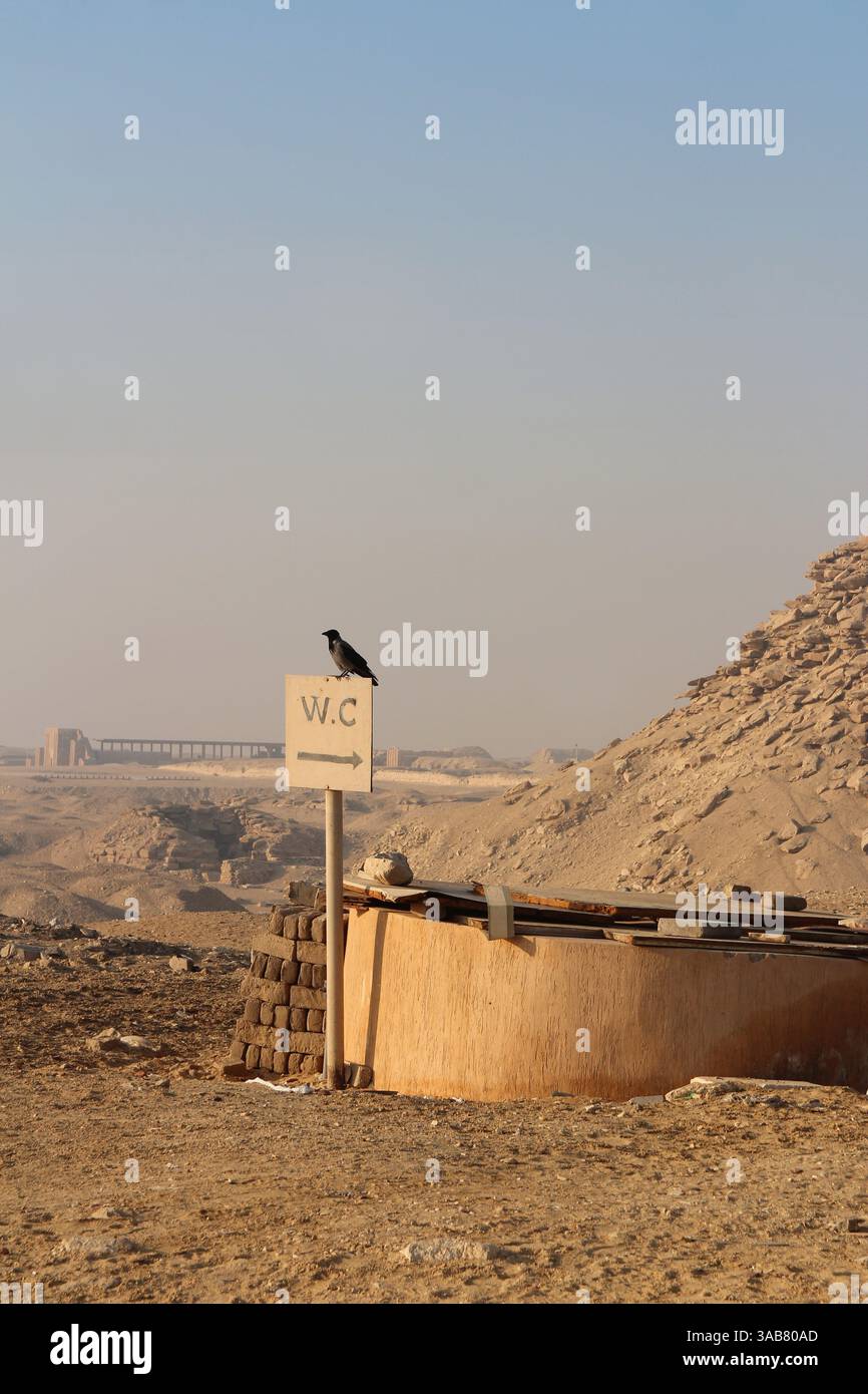 Toilet sign with a crow on it near Step Pyramid of Djoser at Saqqara ...