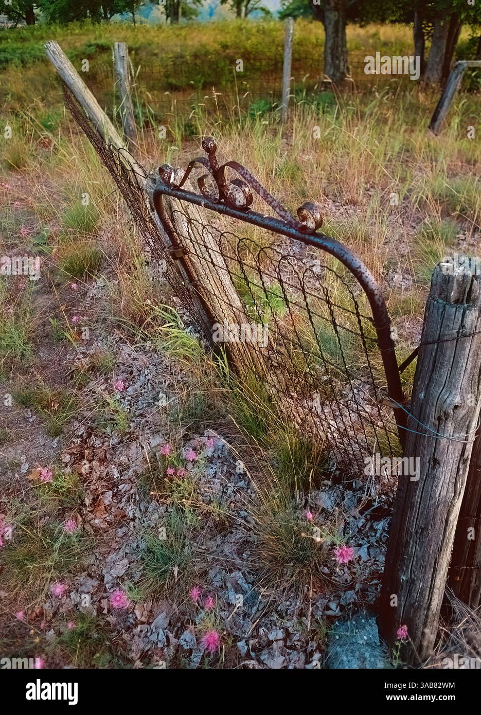 The old gurad hi-res stock photography and images - Alamy