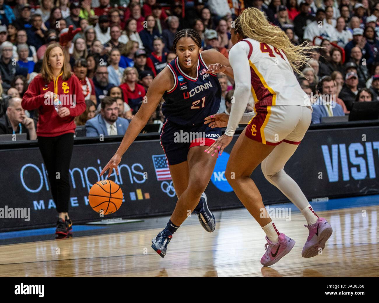 2025 _0082 jpg hi-res stock photography and images - Alamy