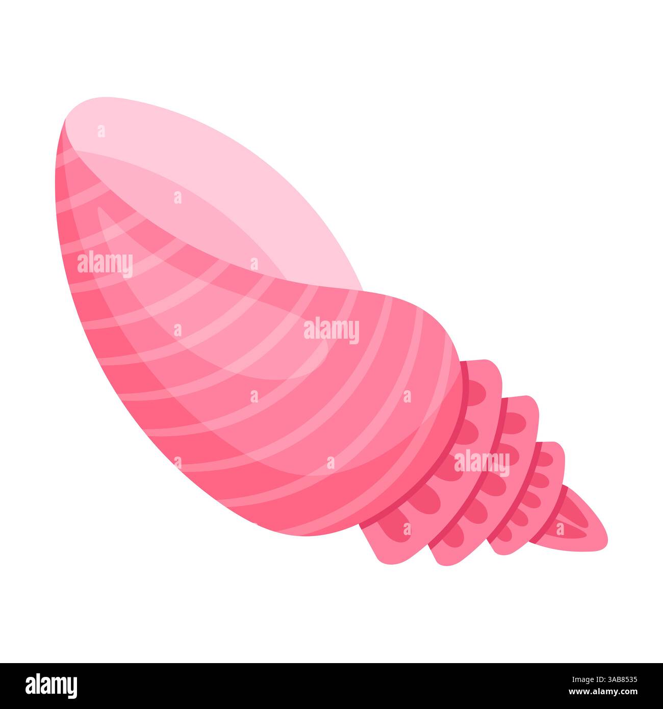 pink curled seashell. Marine life illustration. Perfect for beach ...