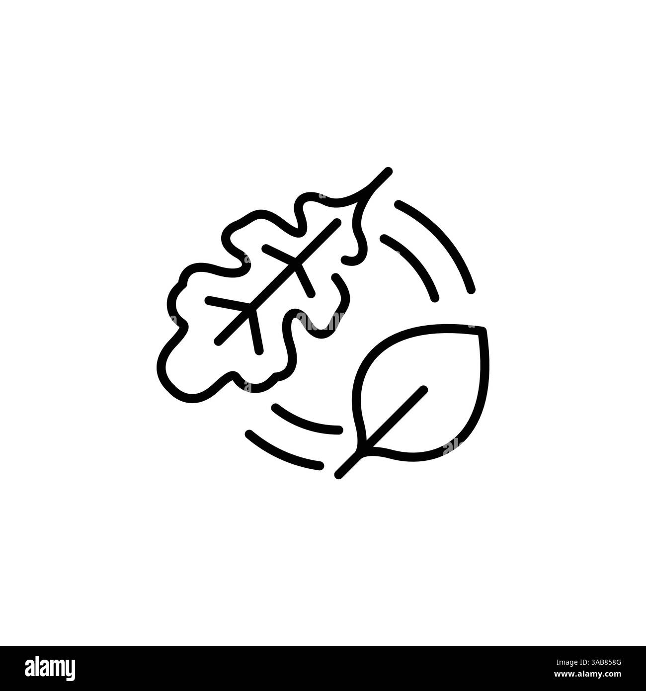 Rural autumn decoration leaves Black and White Stock Photos & Images ...