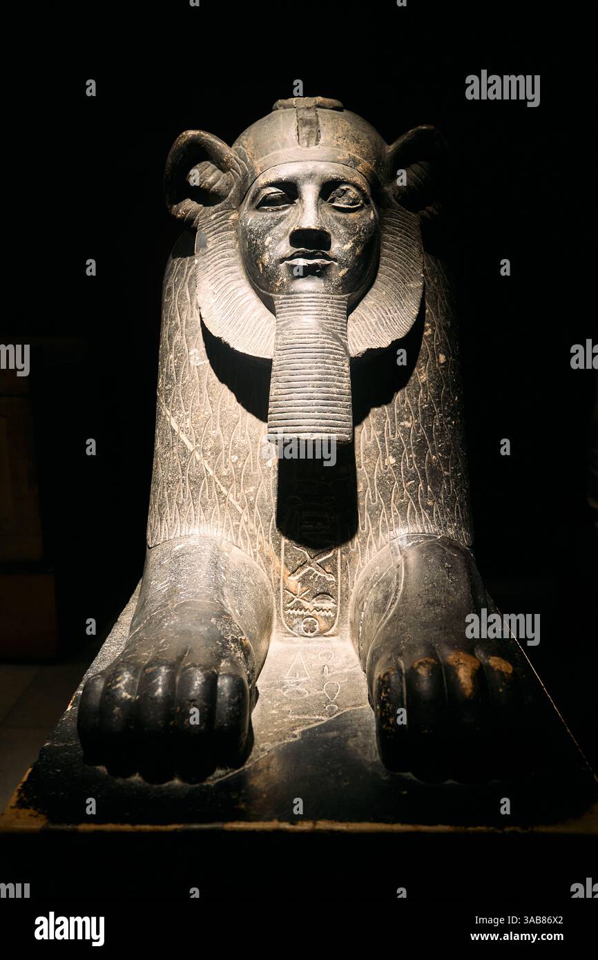 Experience the Majestic Sphinx Sculpture showcased within the Museums ...