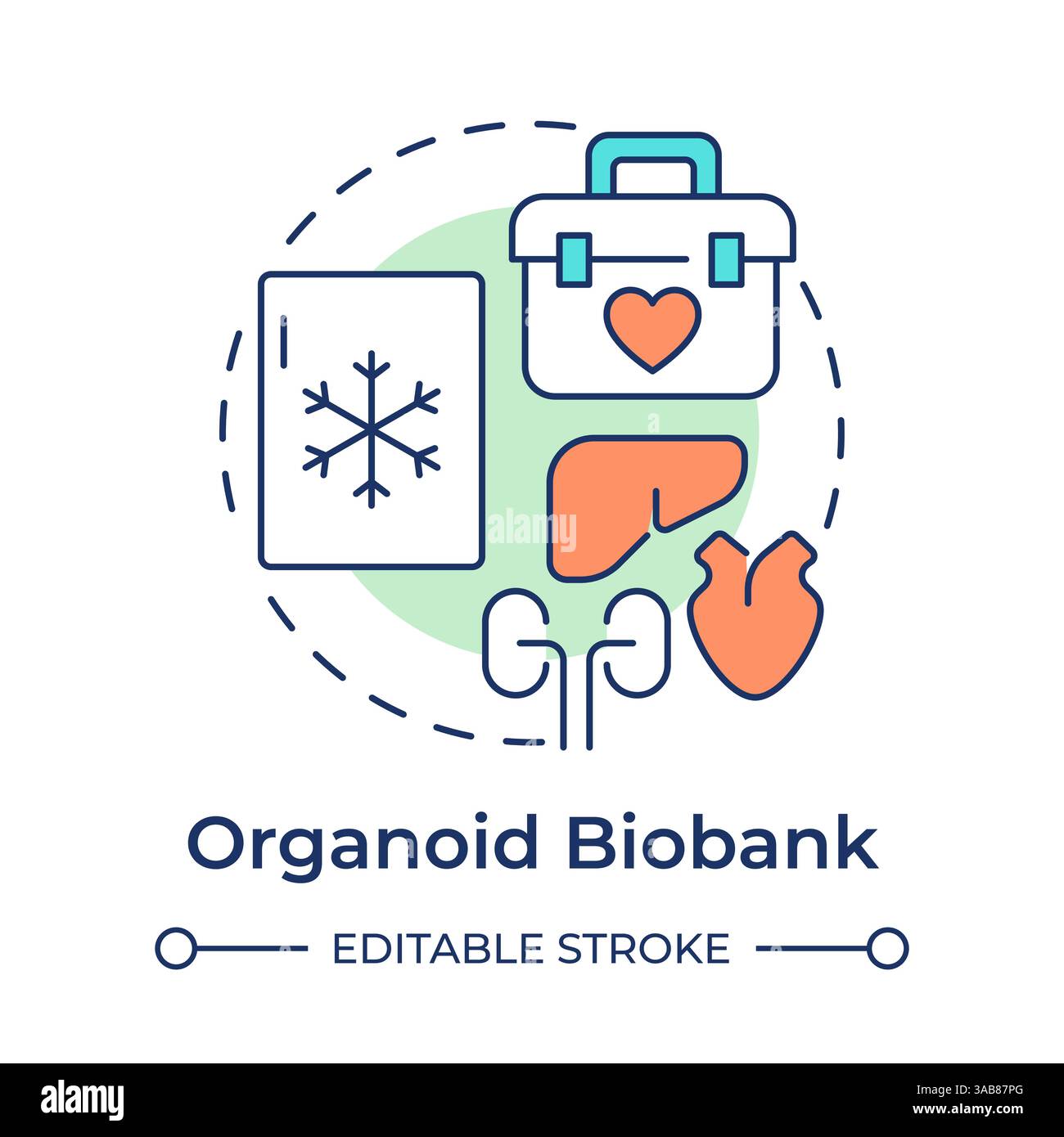 Organoid Stock Vector Images - Alamy