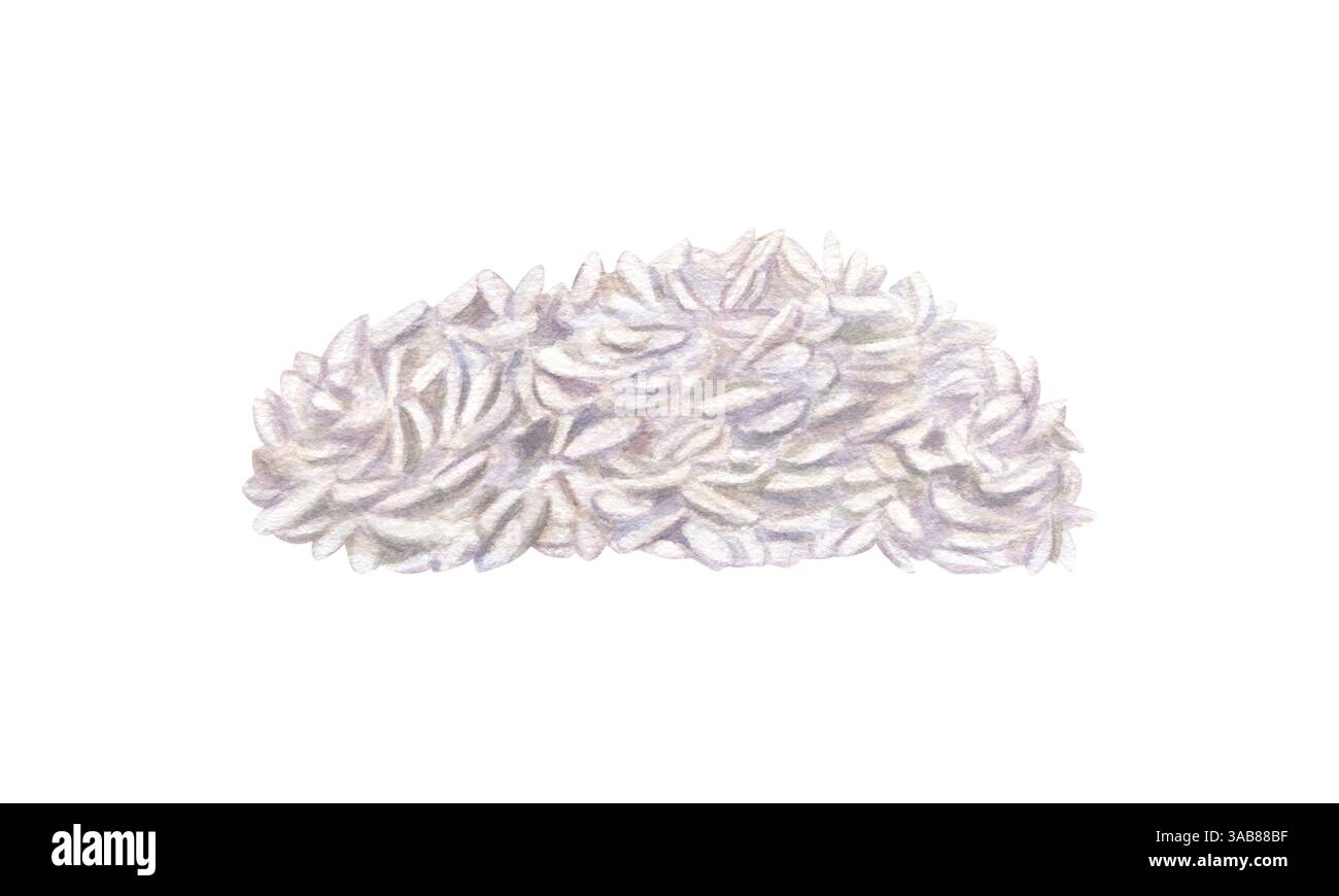 Steamed white rice pile watercolor illustration isolated background ...