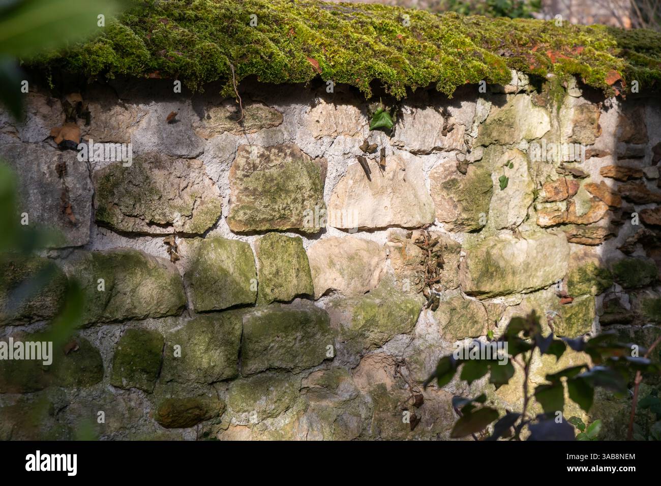 Rough texture of very old weathered stone wall or fence with traces of ...