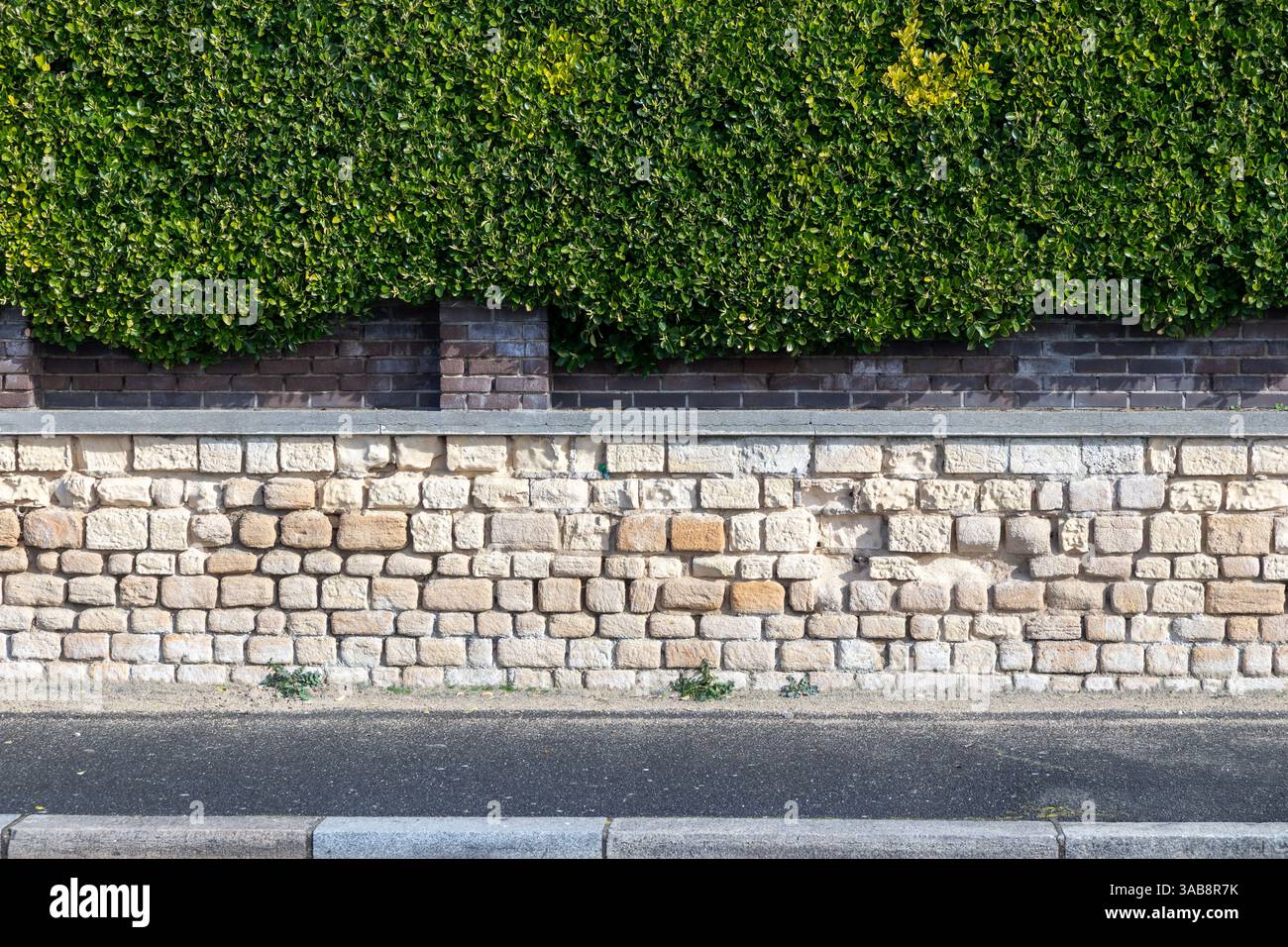 Green trimmed bush hedge with stone basement and empty sidewalk in the ...