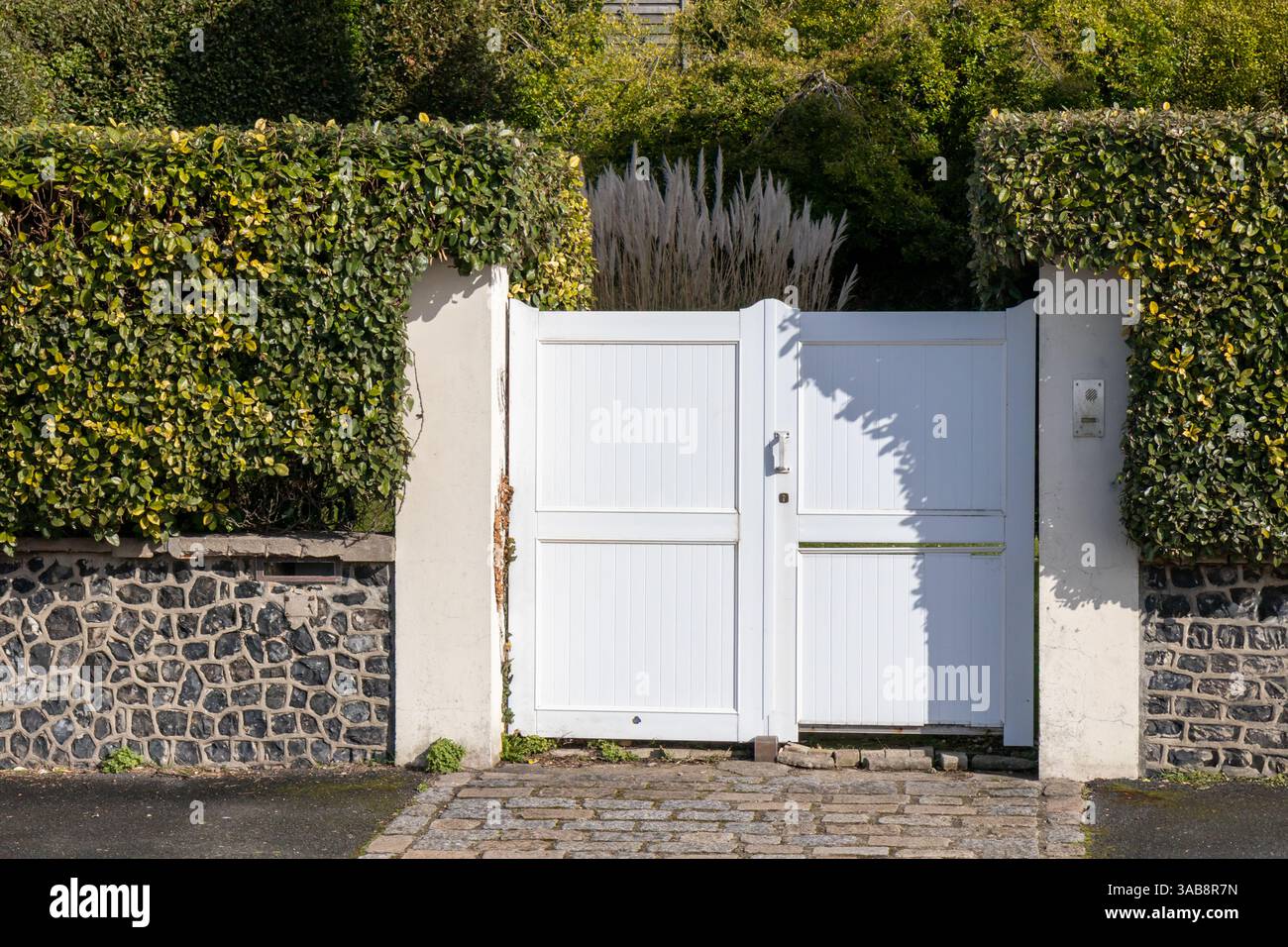 Green trimmed bush hedge hi-res stock photography and images - Alamy