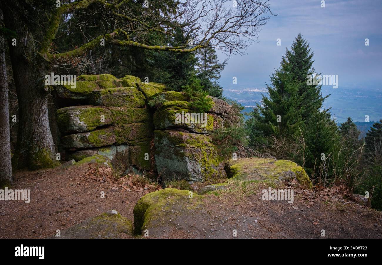 Geological megalithic rocks formation in the mountain woods, with a ...