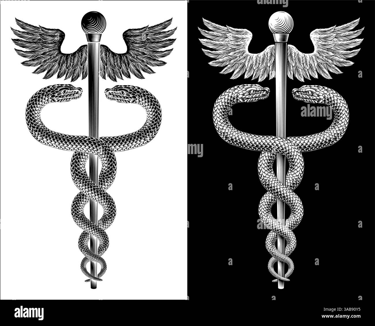 Victorian medical drawing Black and White Stock Photos & Images - Alamy