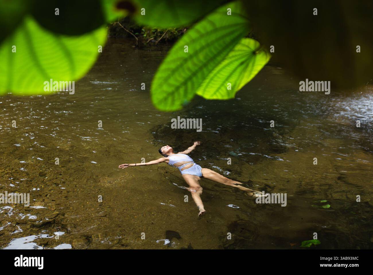 In the biodiverse Choco Andino rainforest of Ecuador, an Ecuadorian ...