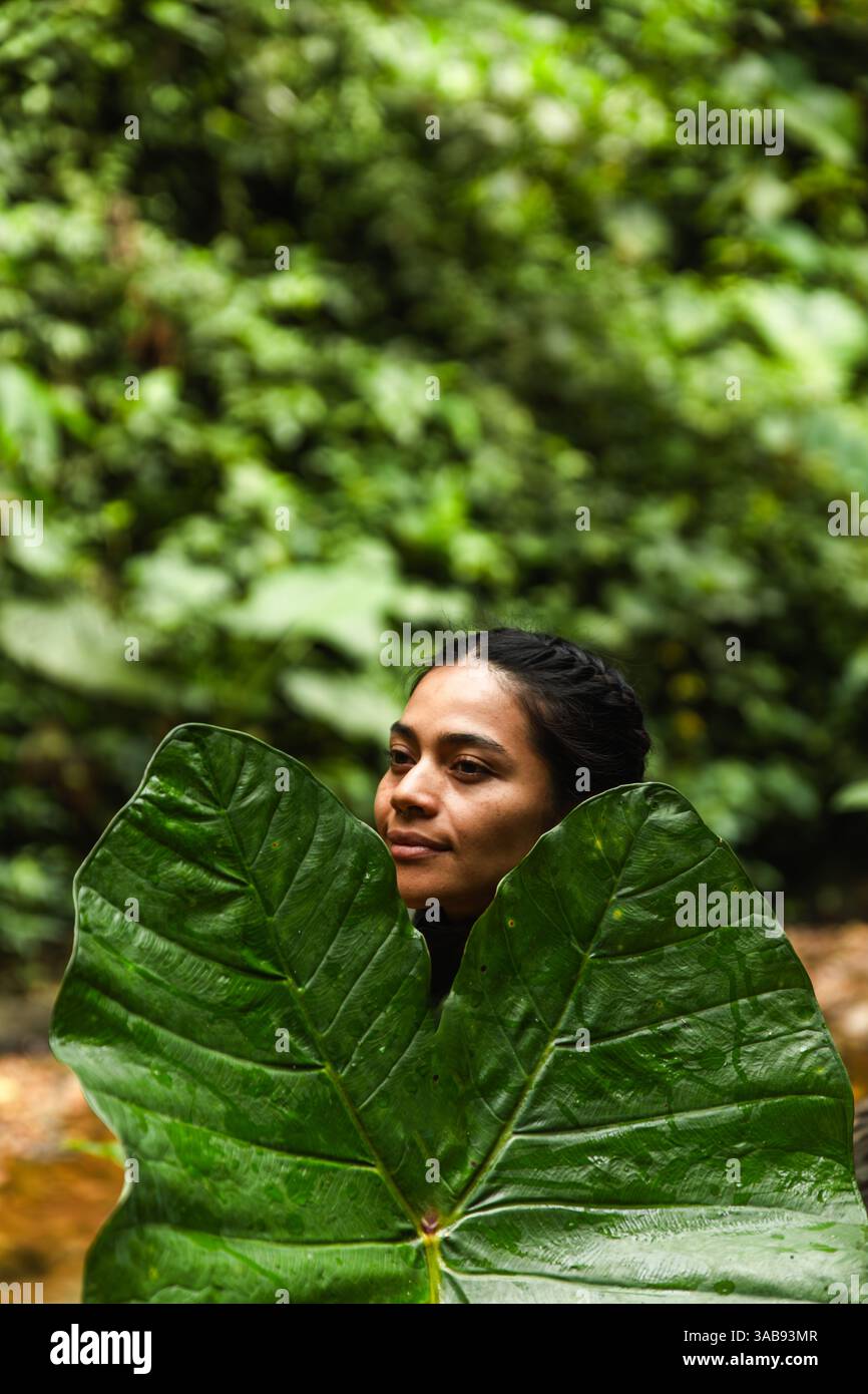 In the biodiverse Choco Andino rainforest of Ecuador, an Ecuadorian ...
