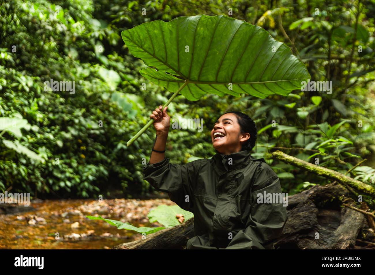Young Ecuadorian woman enjoys nature under a large leaf in the ...