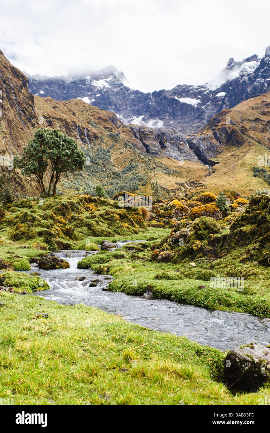 A peaceful mountain stream meanders through lush green meadows at El ...