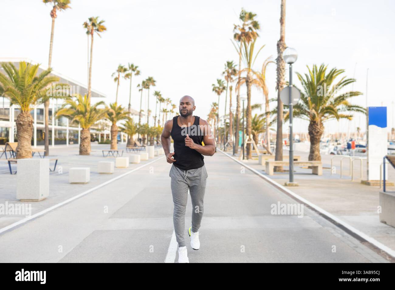 A fit cuban man in athletic wear runs on a palm lined promenade ...
