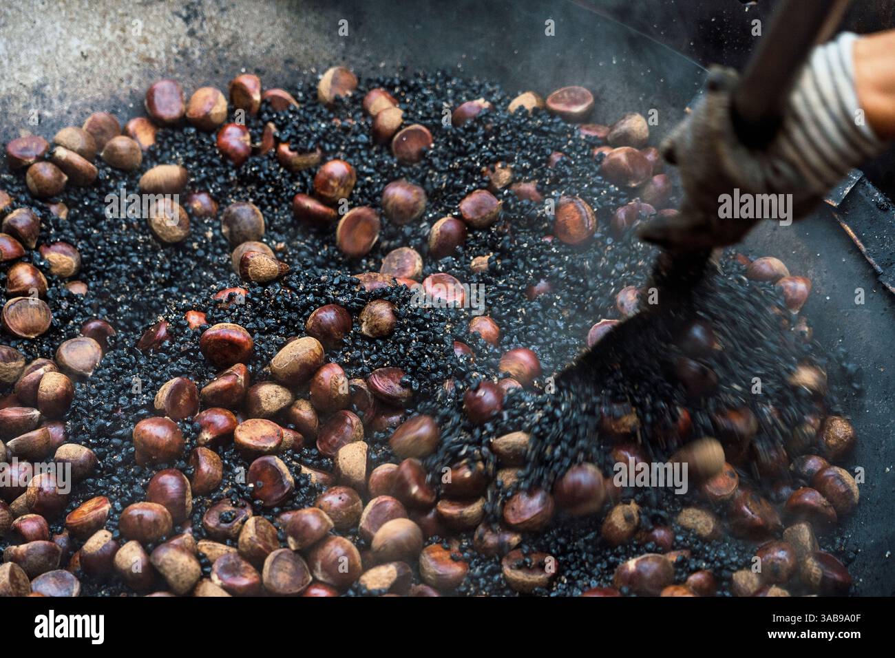 Close-up view of a cropped unrecognizable person roasting fresh ...
