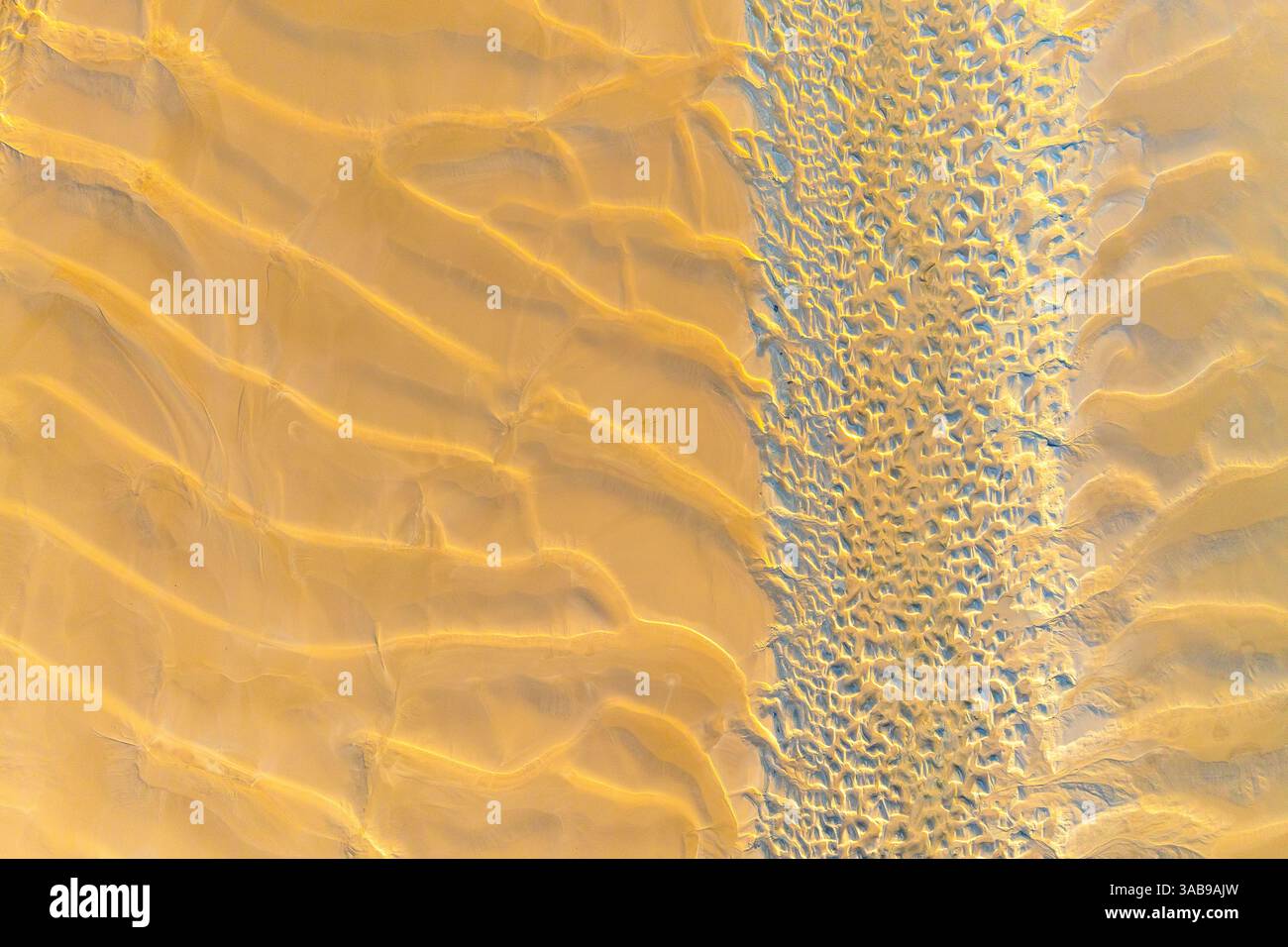 An aerial photograph showcases vast, golden sand dunes and intricate ...