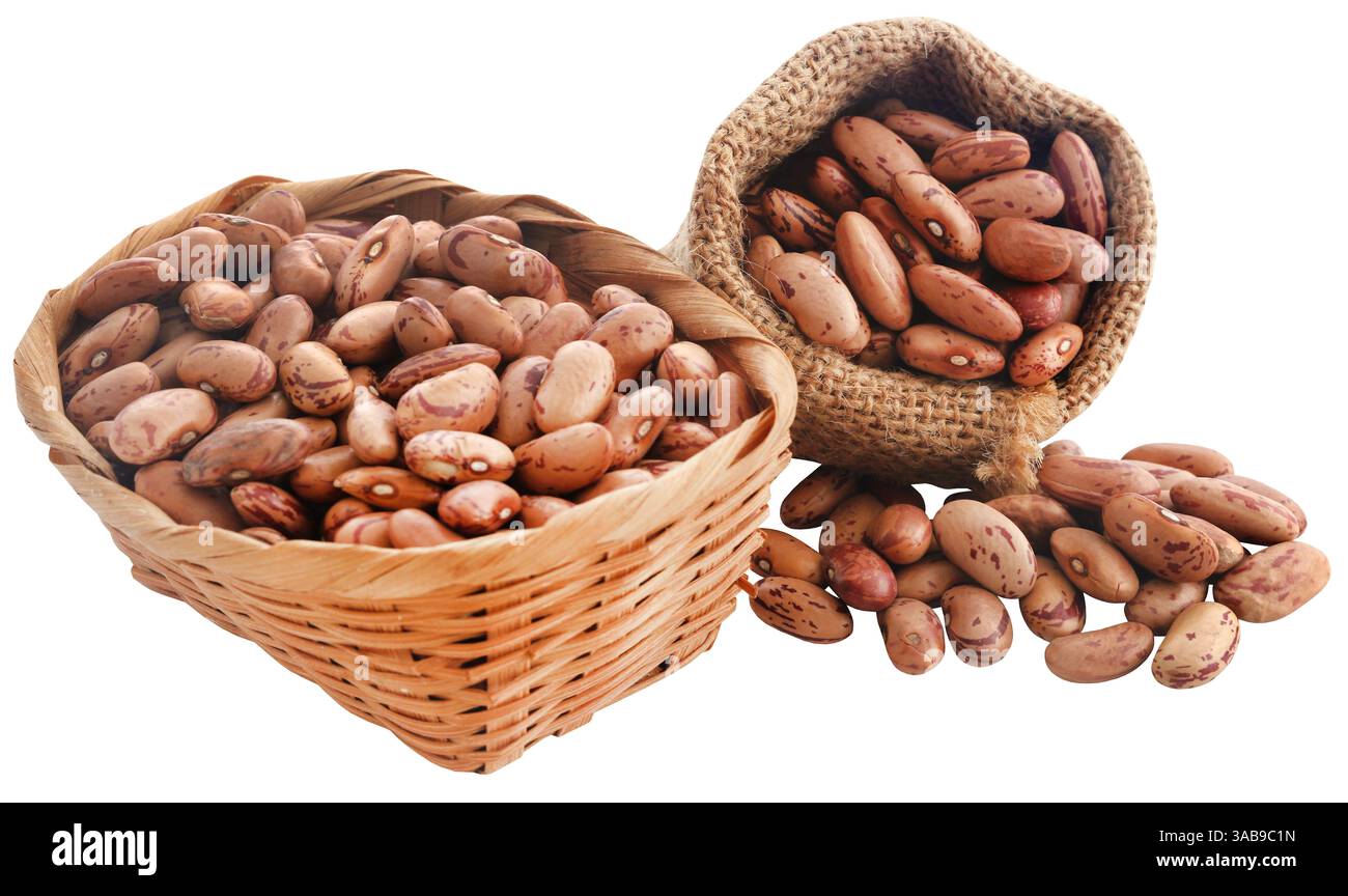 Pinto bean or speckled bean great source of protein Stock Photo - Alamy