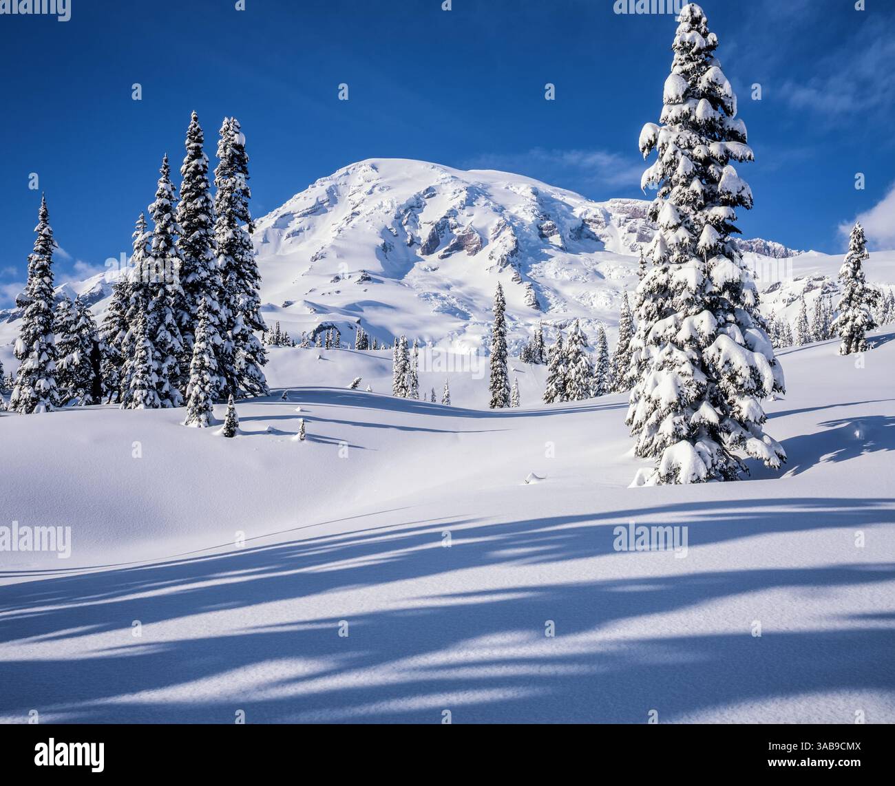 Fresh snow blankets the Paradise area of Mount Rainier National Park ...