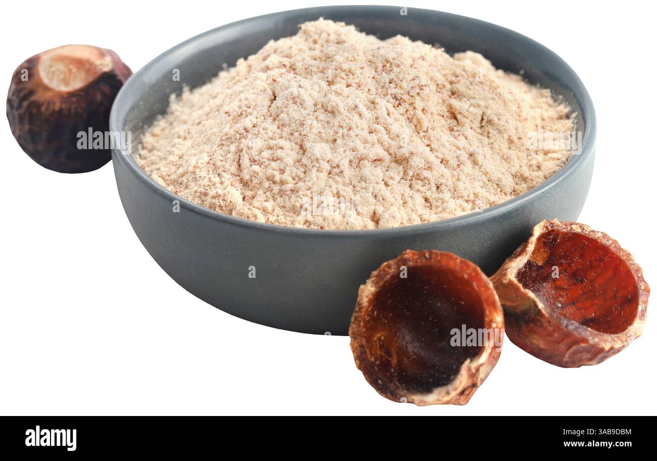 Sapindus mukorossi indian soapberry hi-res stock photography and images ...