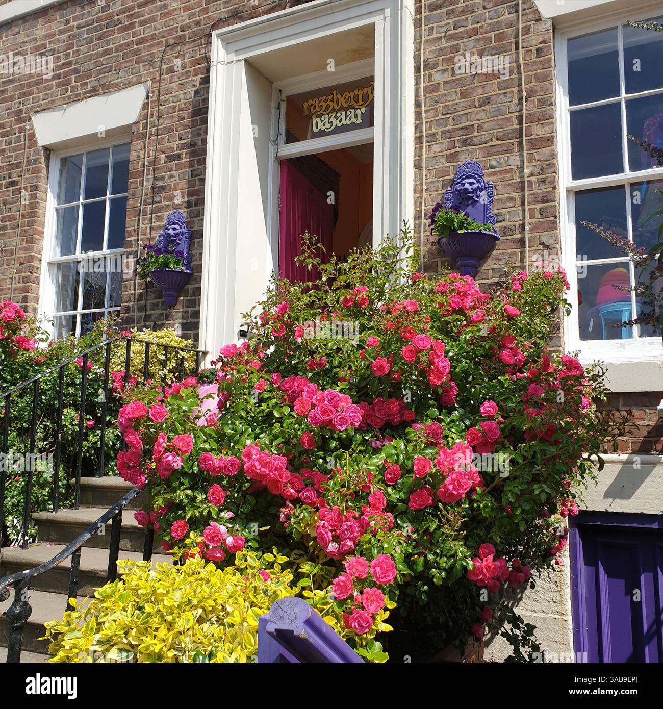 North beach bazaar hi-res stock photography and images - Alamy