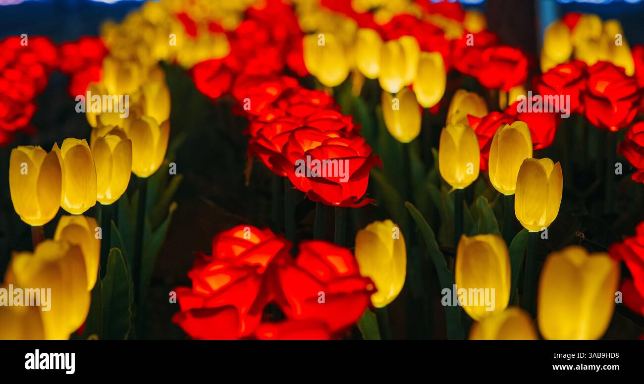 Beijing, China. Zigong Lantern Festival In Beijing. Amazing Glowing Lanterns In Form Of Lighting ...