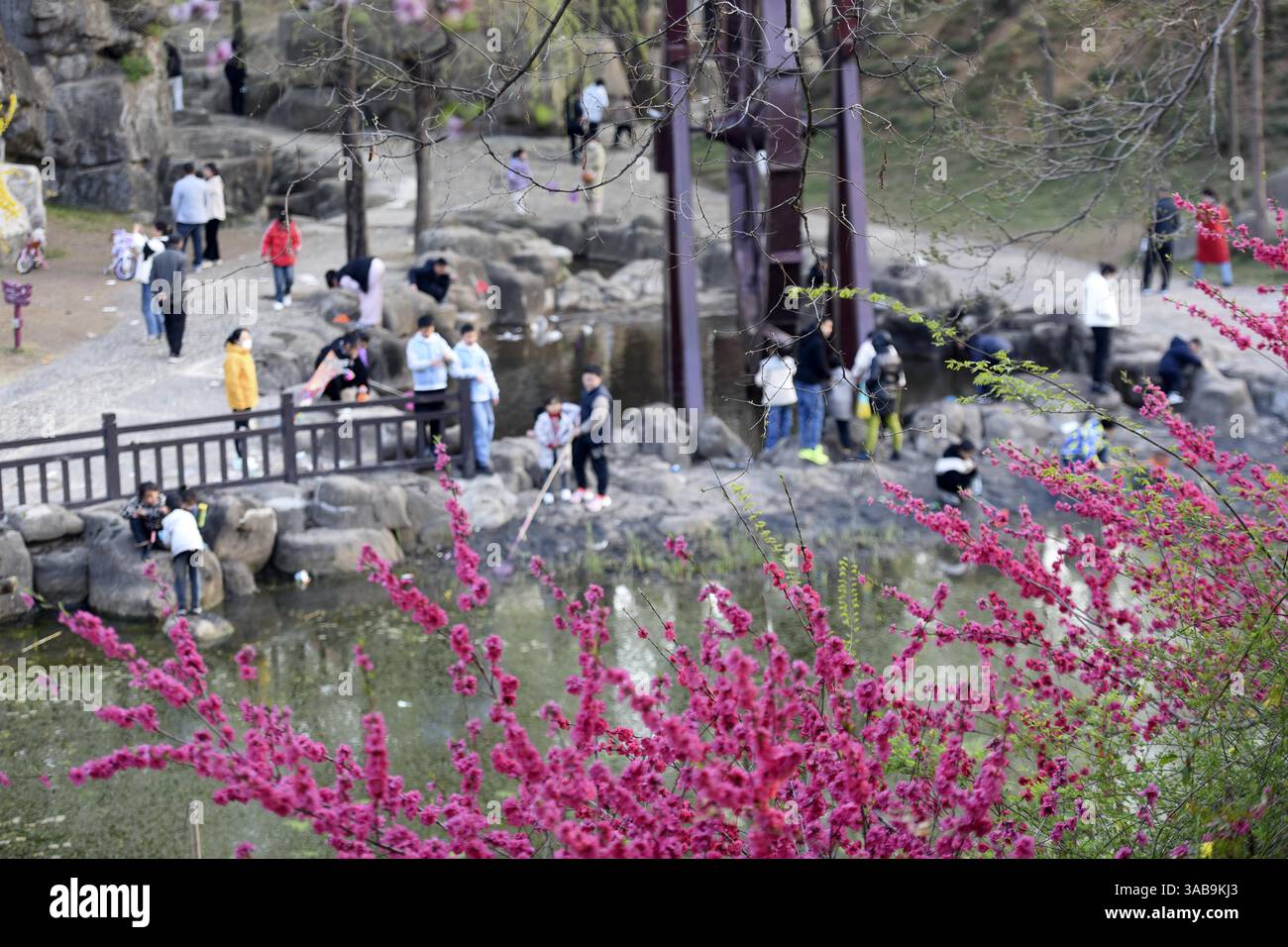 Aerial photo shows blooming spring flowers in Huai'an City, east China ...