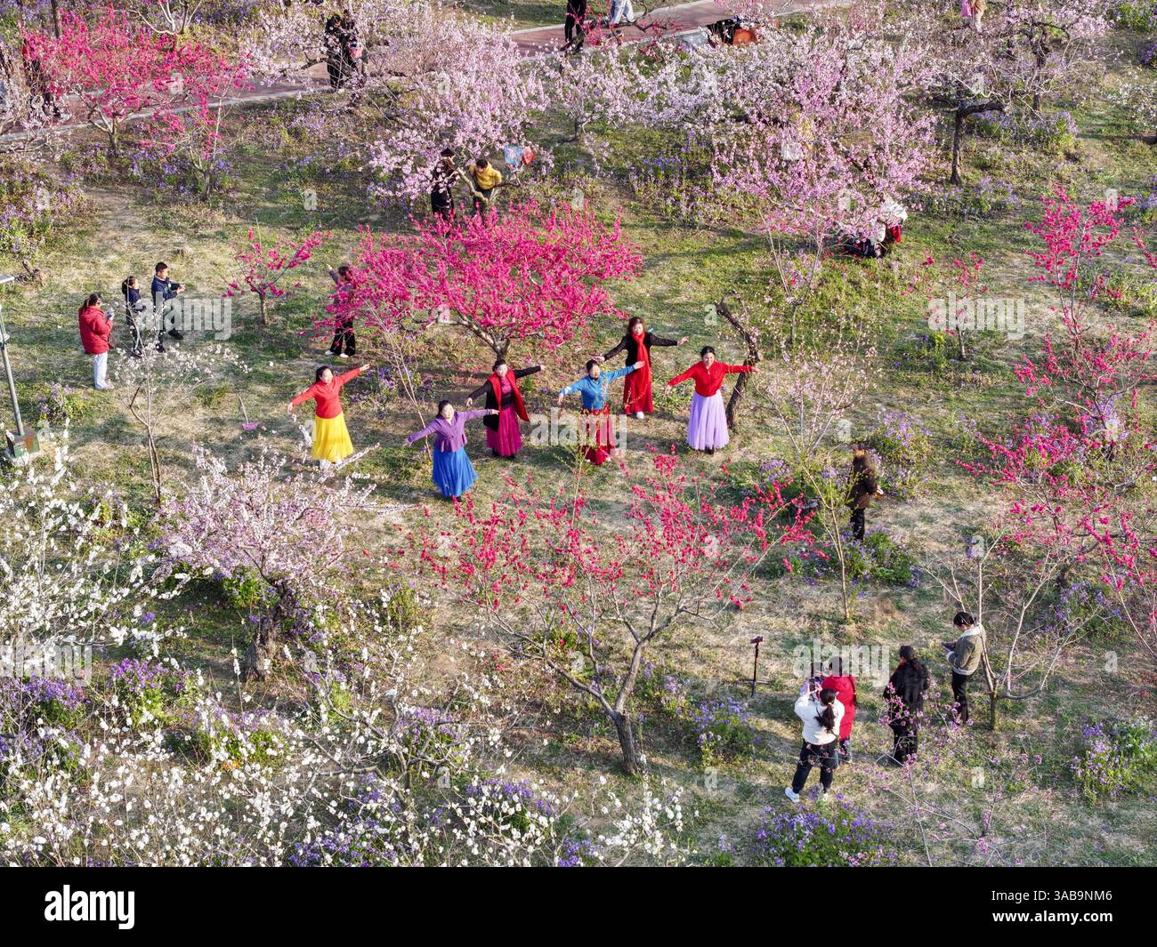 Aerial photo shows blooming spring flowers in Huai'an City, east China ...