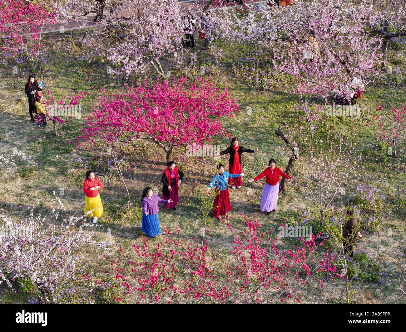 Aerial photo shows blooming spring flowers in Huai'an City, east China ...