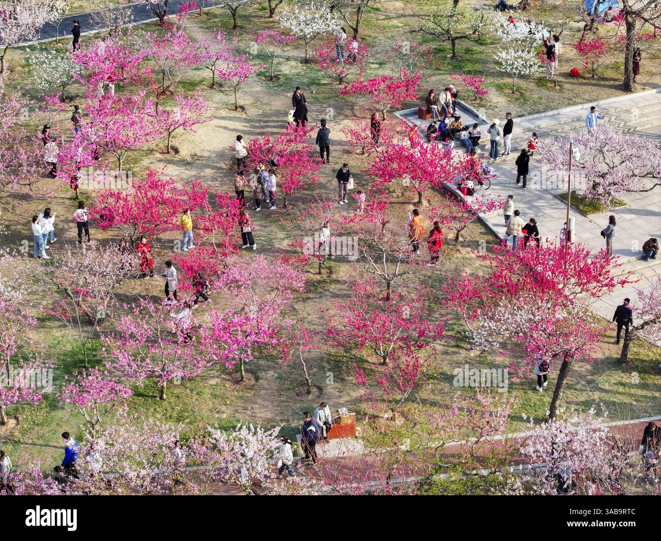 Aerial photo shows blooming spring flowers in Huai'an City, east China ...
