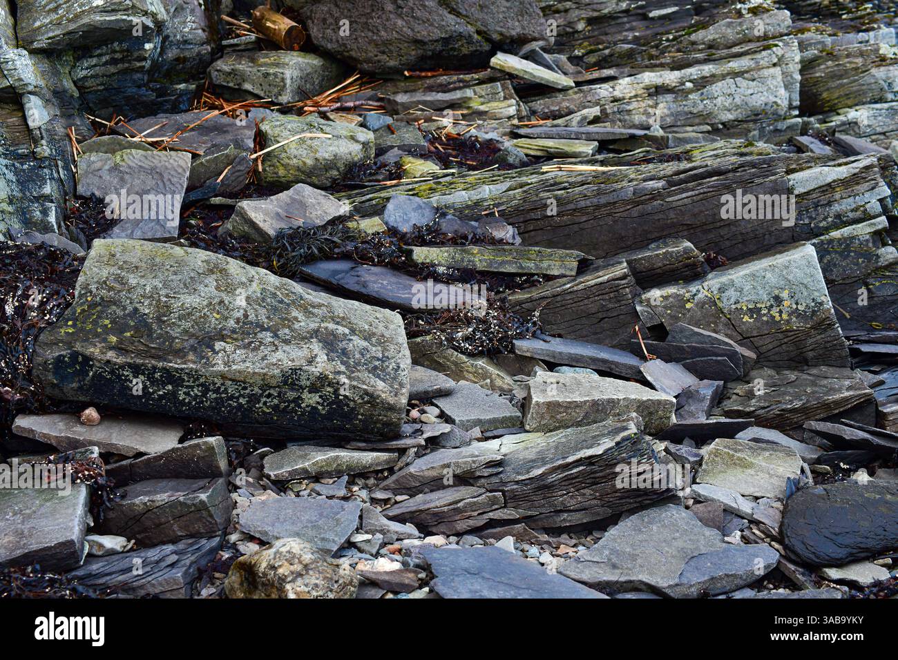 Slate rocks in natural form on Norwegian beach. Pebbles and seaweeds ...