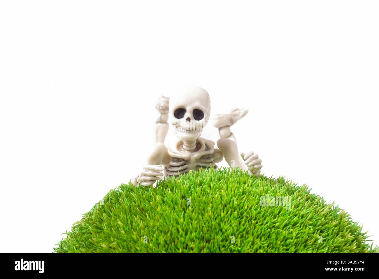 Human skeleton lying on front on moss. Spooky skeleton figurine lies ...