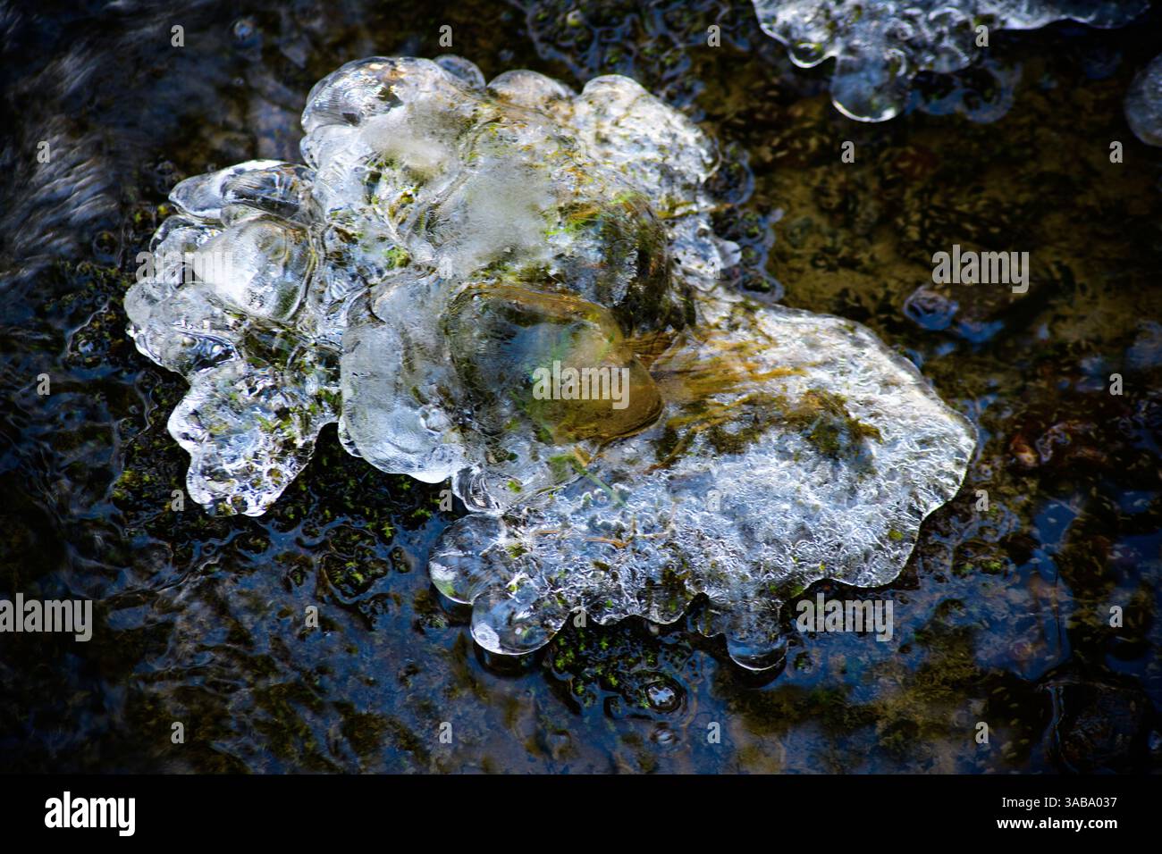 Close up photo of ice blob with melting water inside. Dark wet ...
