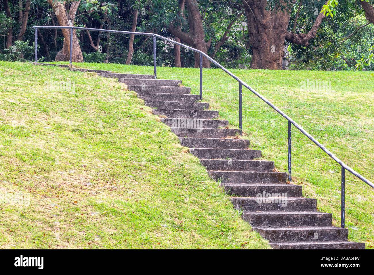 Short cemented steps with metal railing leading up a grassy slope on ...