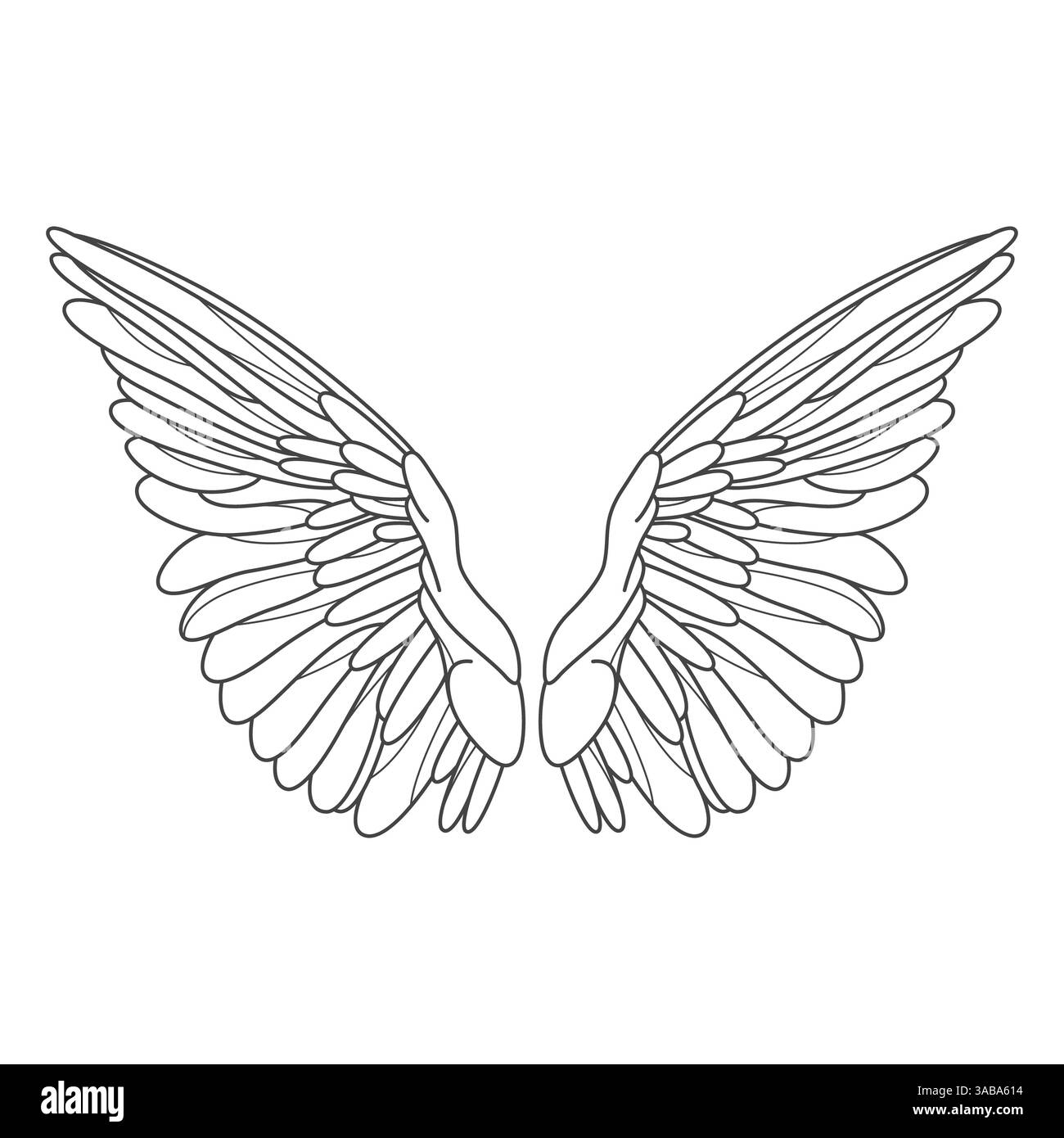 Isolated angel or bird wings. Heraldic heavenly and angelic, graceful ...