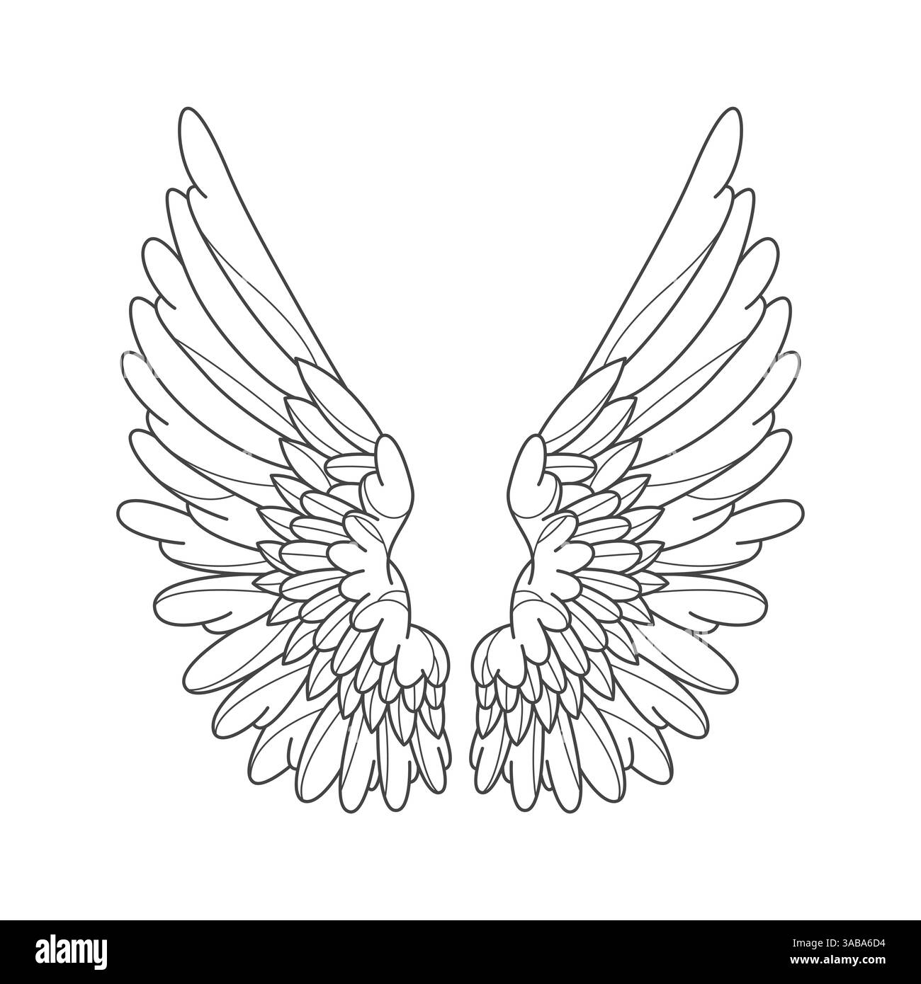 Decorative angel wings isolated. Vector contour for winged bird element ...