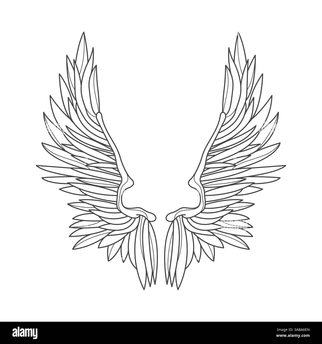 Vector wings feather outline. Angel or bird winged element for divine ...