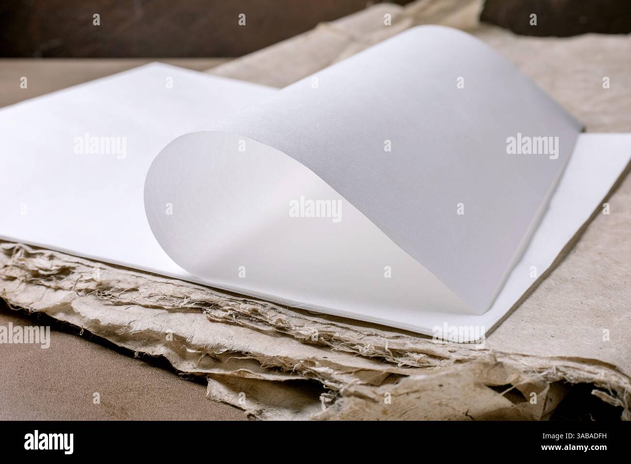 Closeup blank white rice and mulberry paper sheet with curled page on ...