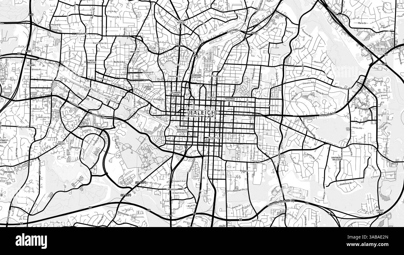Minimalist Raleigh Street Map with Labels and Neighborhoods with many ...