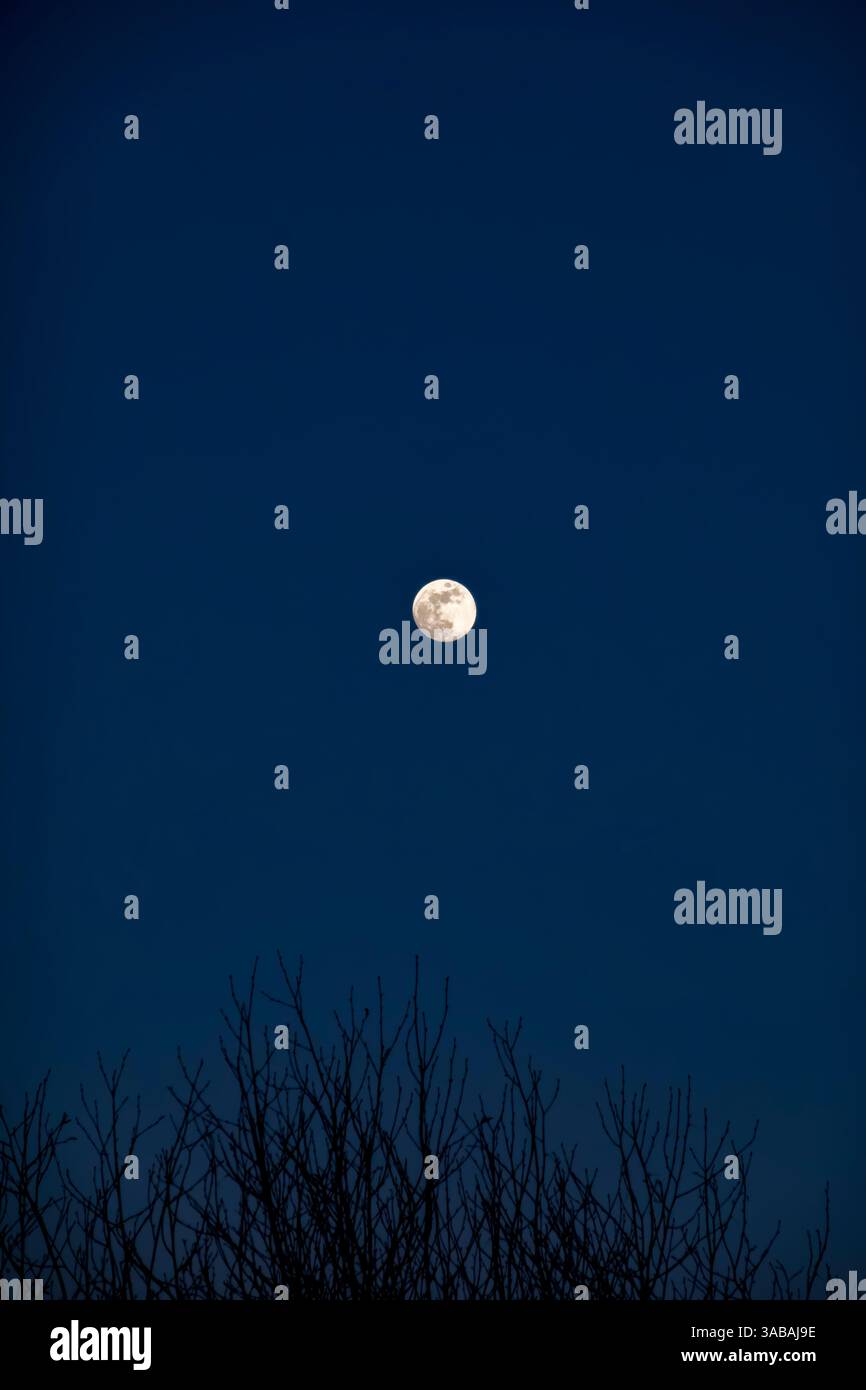 Full moon small hi-res stock photography and images - Alamy