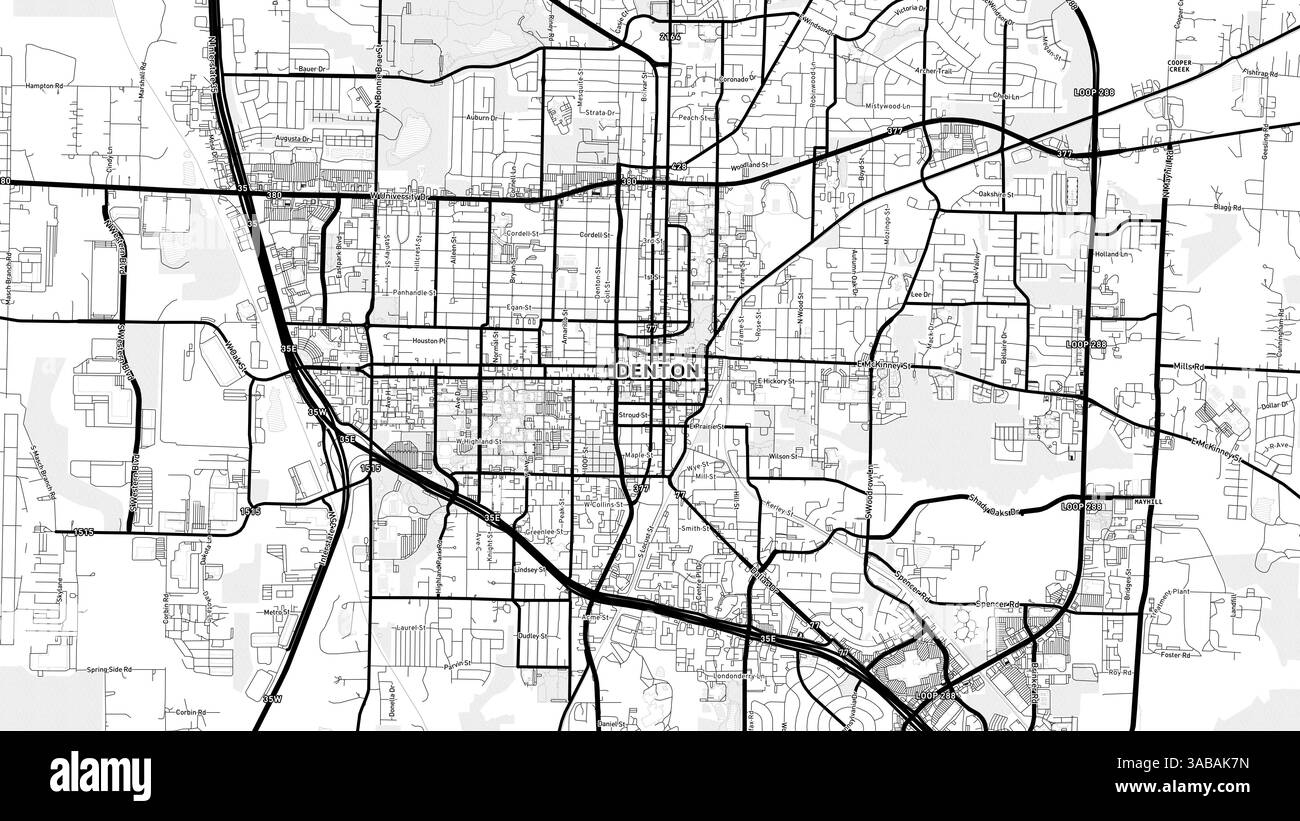 Minimalist Denton Street Map with Labels and Neighborhoods with many ...
