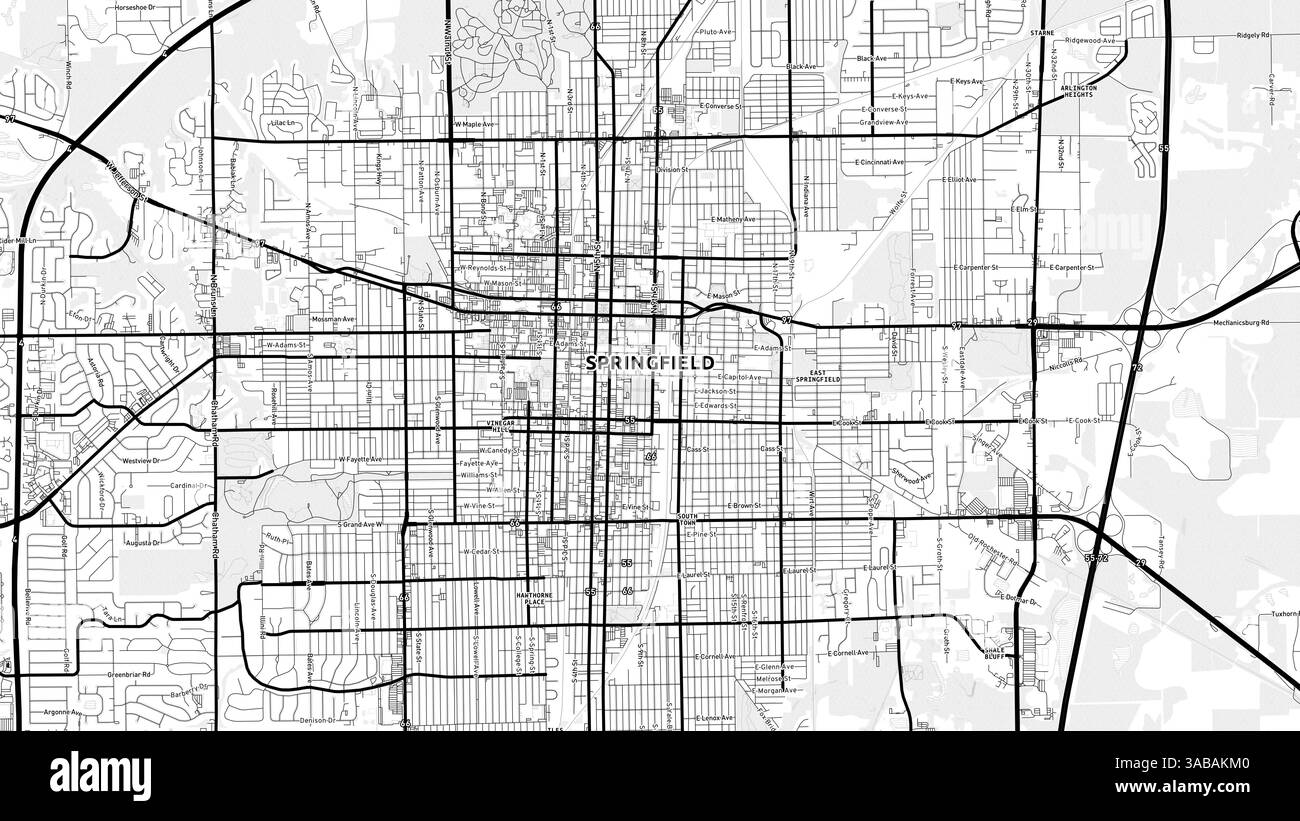 Minimalist Springfield Street Map with Labels and Neighborhoods with ...
