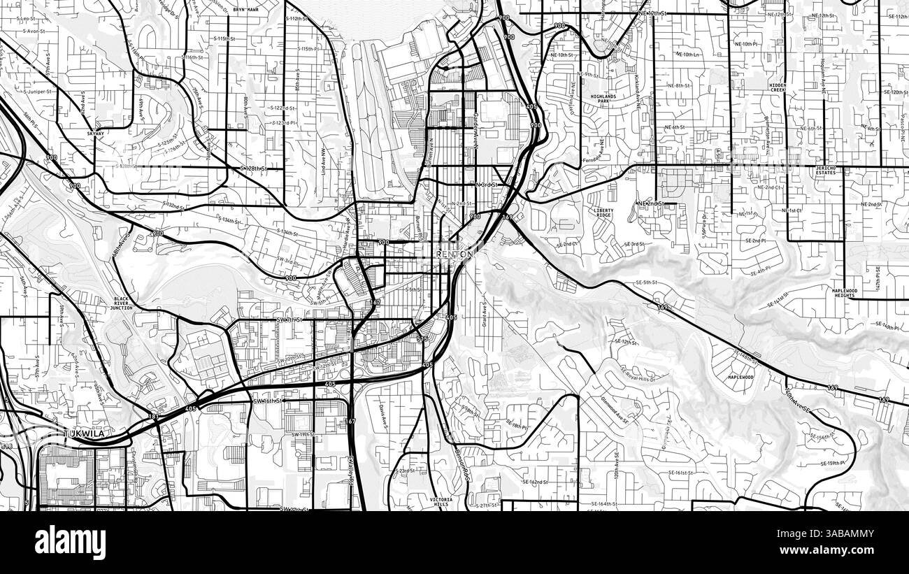 Minimalist Renton Street Map with Labels and Neighborhoods with many ...
