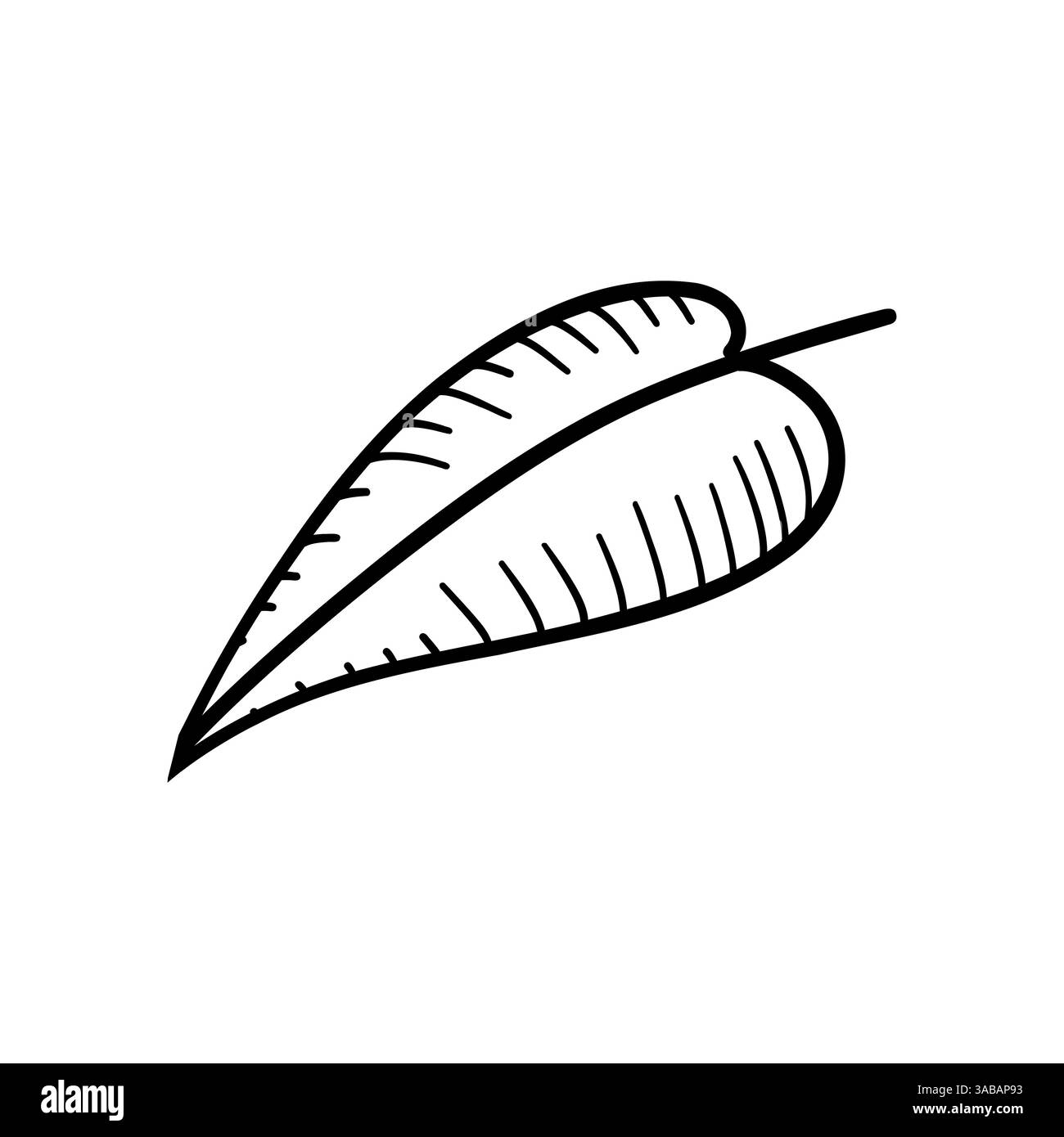 Contour plant hi-res stock photography and images - Alamy
