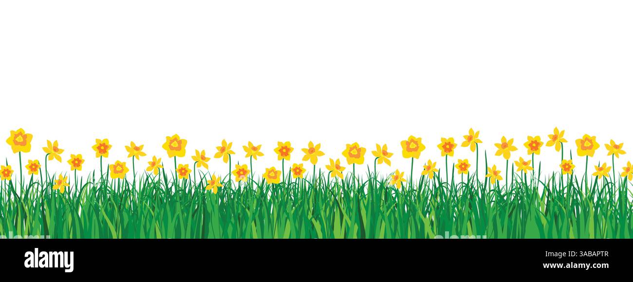 Spring nature border with flowers and green grass. Vector illustration ...