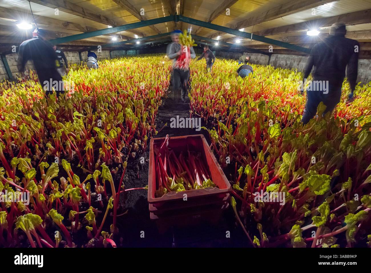 Oldroyd farm hi-res stock photography and images - Alamy
