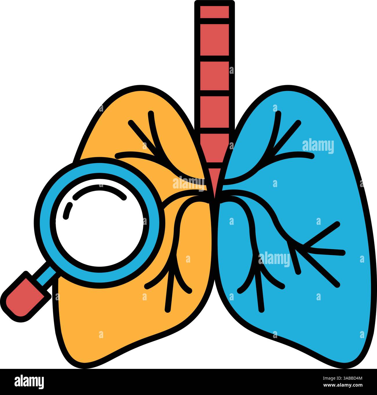 A close up of a lung with a magnifying glass on it. The lung is shown ...