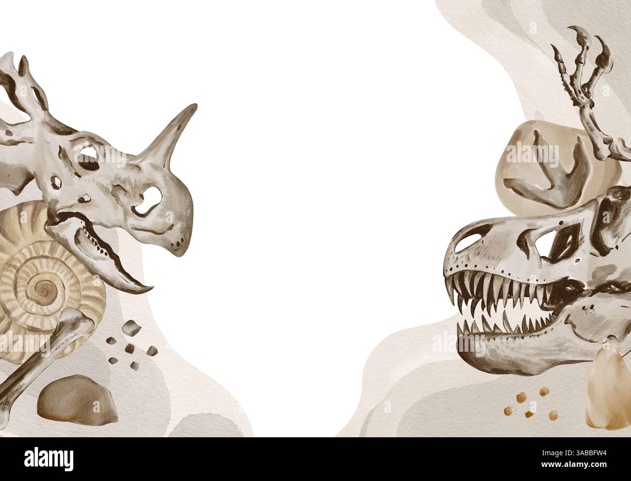 Frame with dinosaur fossils and cerepi. Ammonites and fossils. Predator ...