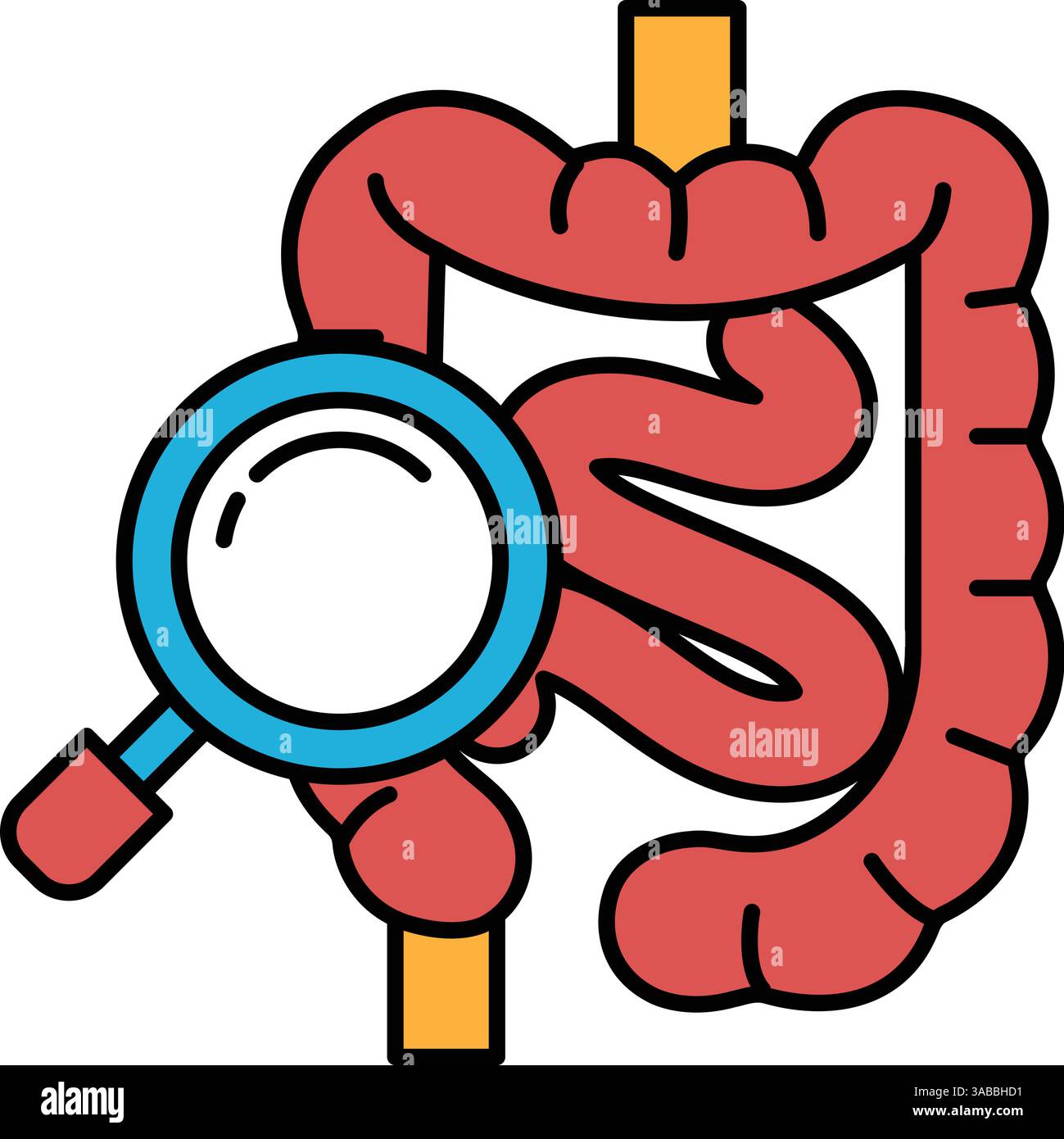 A cartoon drawing of a digestive system with a magnifying glass on the ...